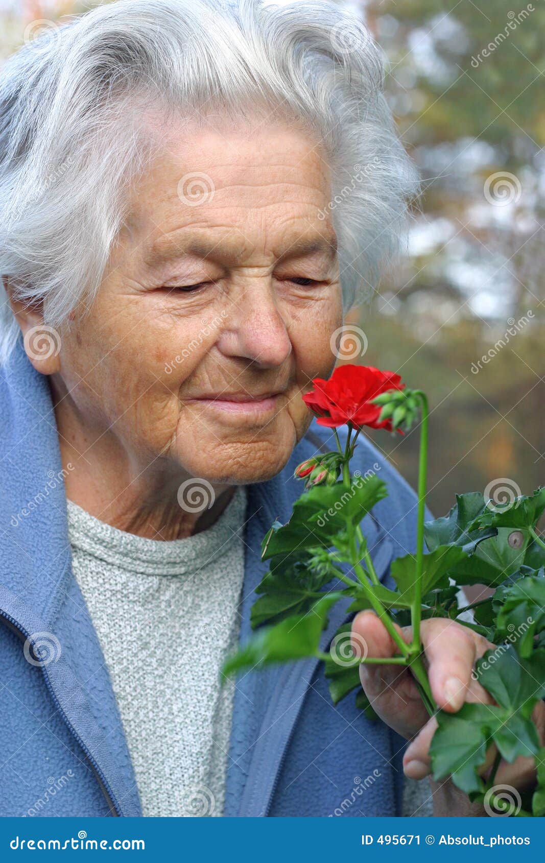 Bejaarde Persoon Met Een Bloem. Stock Afbeelding - Image of wijfje ...