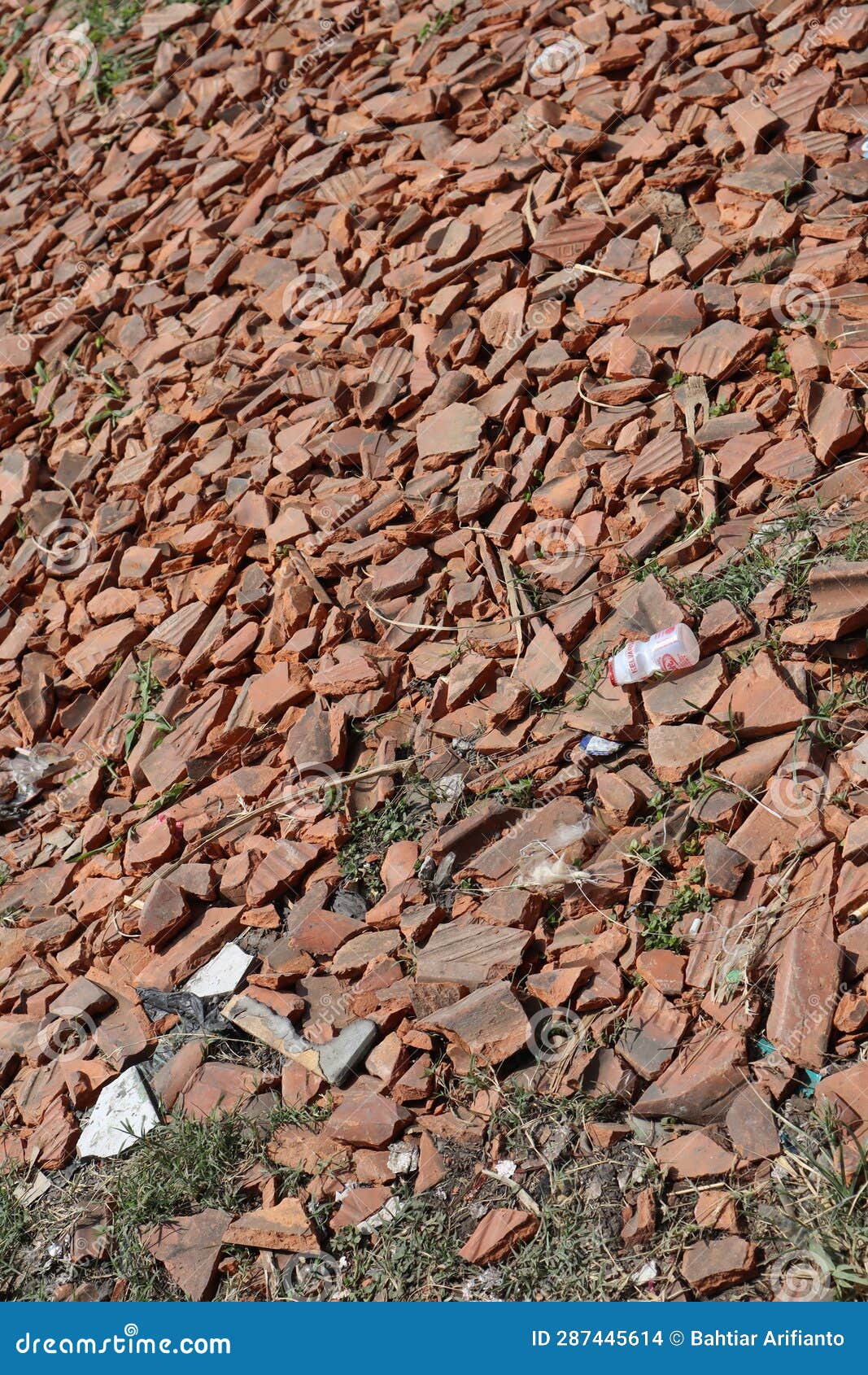 Tile Shards in the Afternoon Editorial Stock Image - Image of plant ...