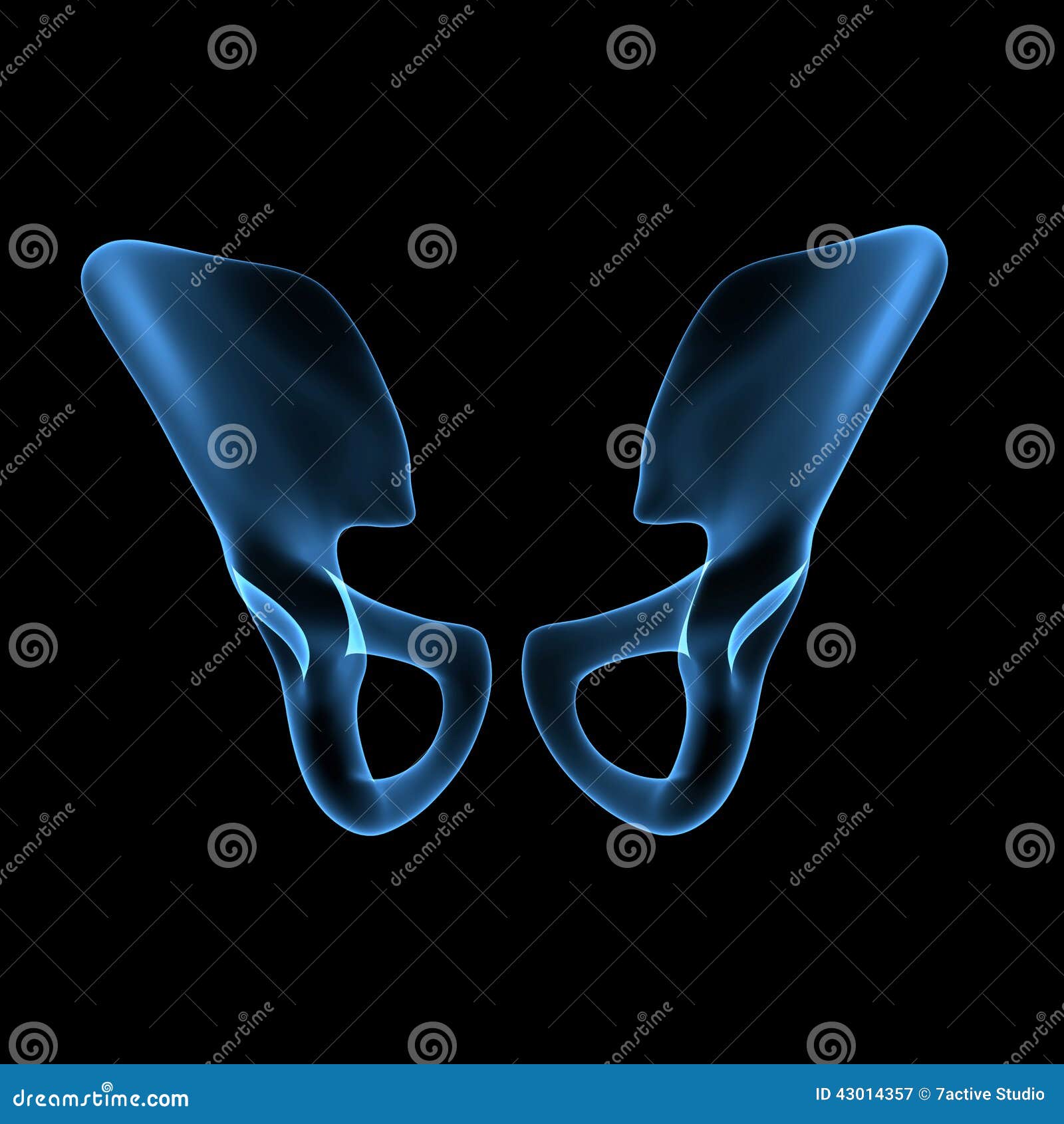 Bekken (heup) been stock illustratie. Illustration of menselijk - 43014357