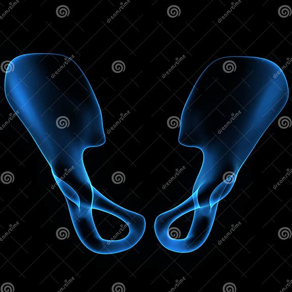 Bekkenbeen stock illustratie. Illustration of bekken - 47649246