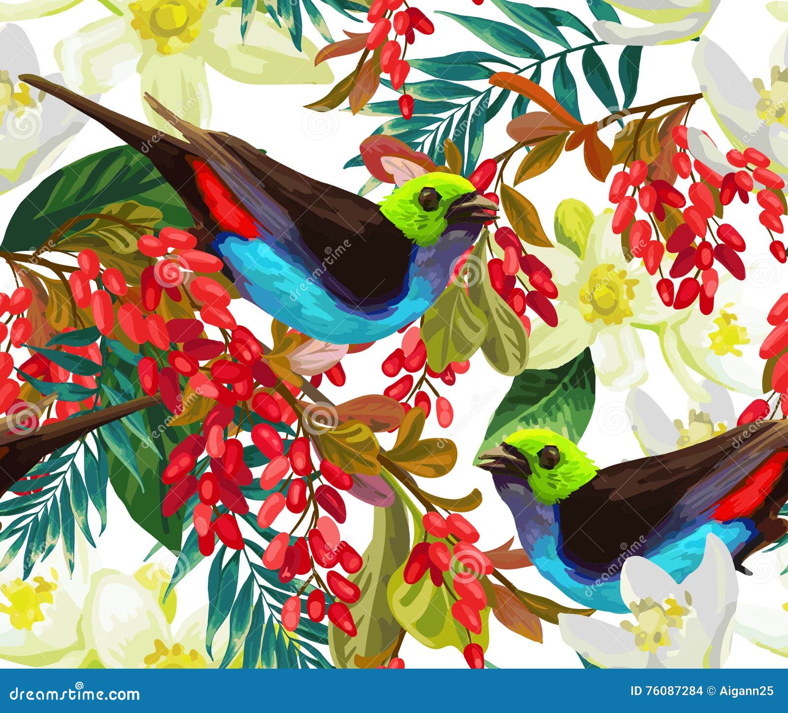 Bel Oiseau, Baies Rouges Et Fleurs Blanches Illustration de Vecteur ...