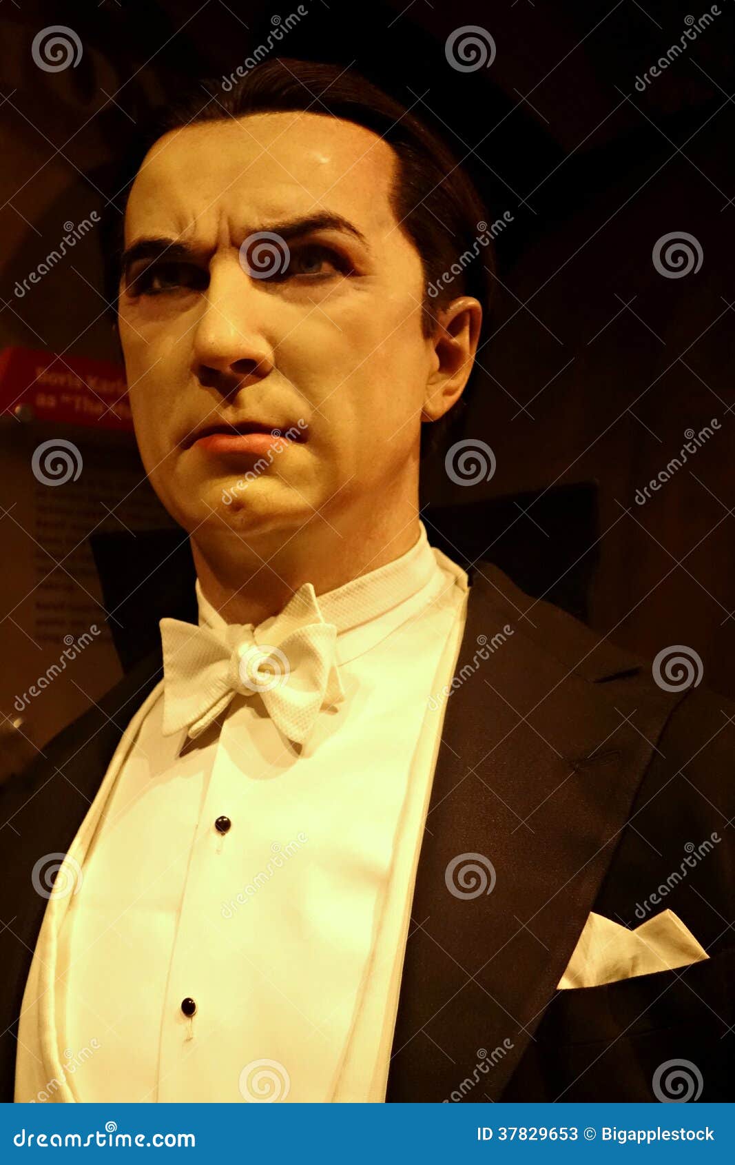 Exhibit Portraying China Set Used By Famous Abolitionist, Susan B ...