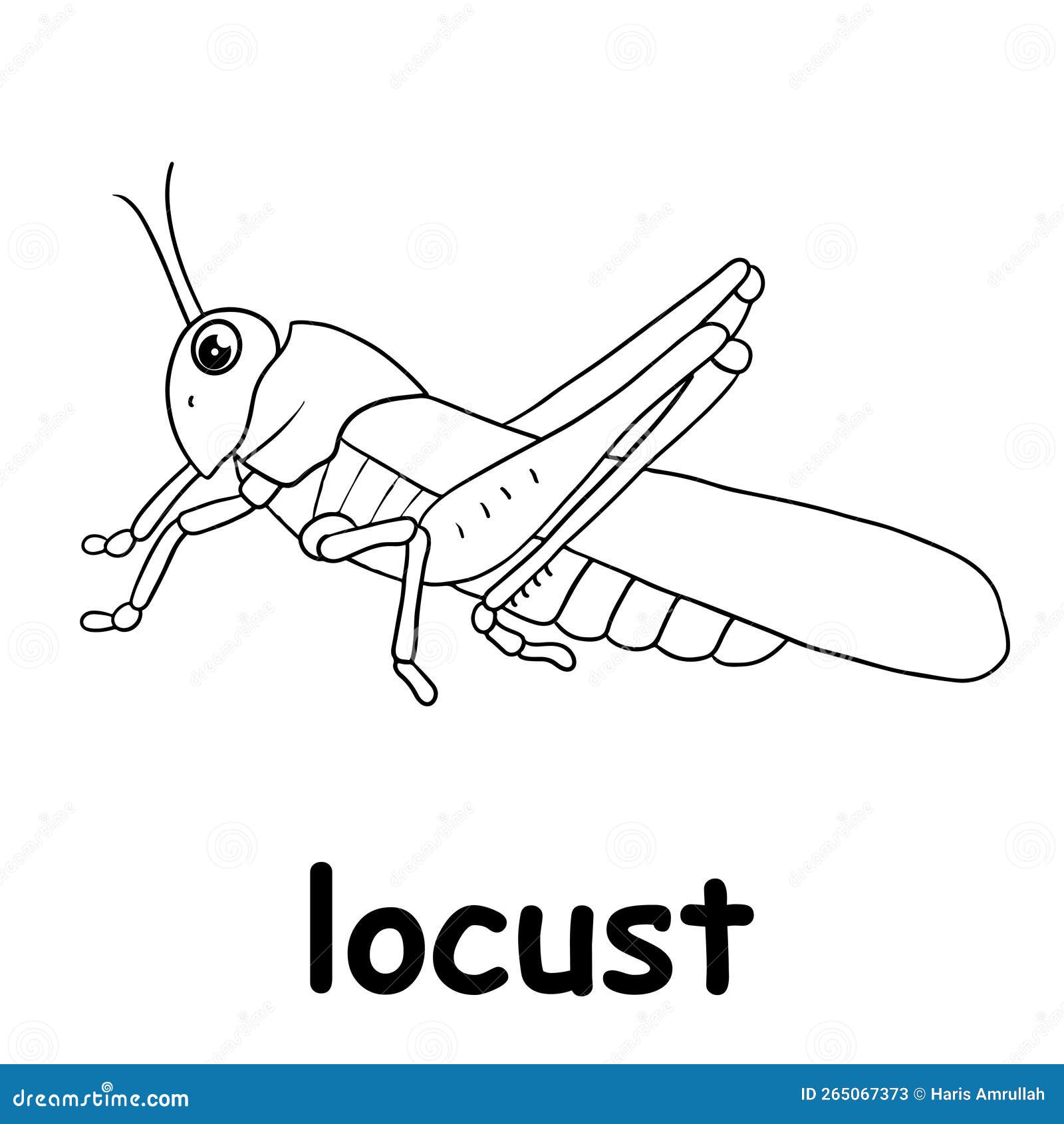 Kids Line Illustration Coloring Locust. Outline Vector for Children ...