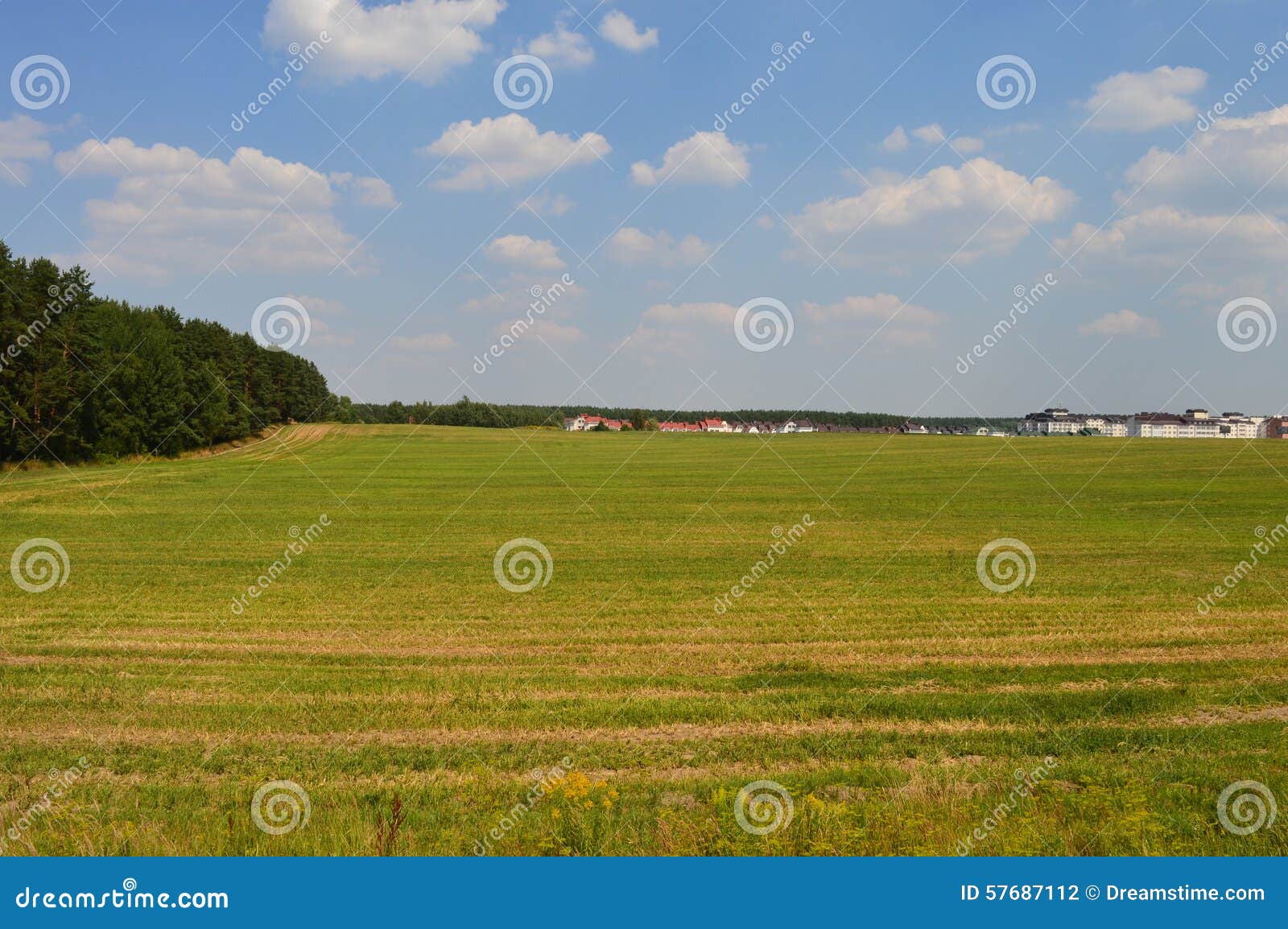 Belarusian Fields stock photo. Image of lovely, countryside - 57687112