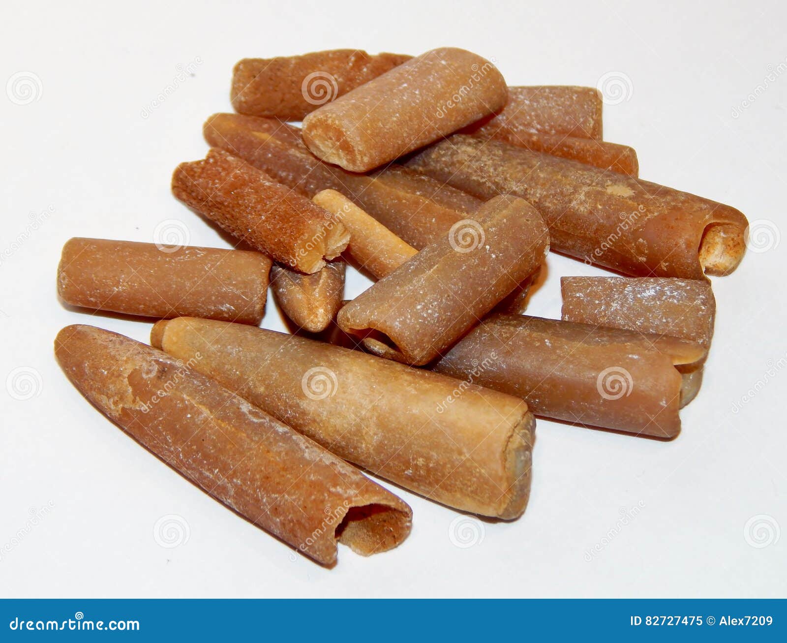 Belemnite stock image. Image of cuttlefish, ancient, isolated - 82727475