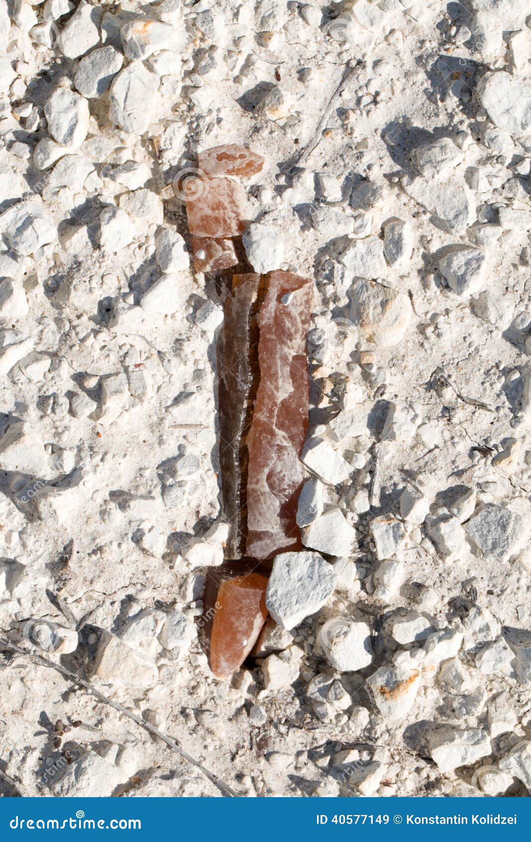 Belemnite. stock image. Image of hovering, belemnoidea - 40577149