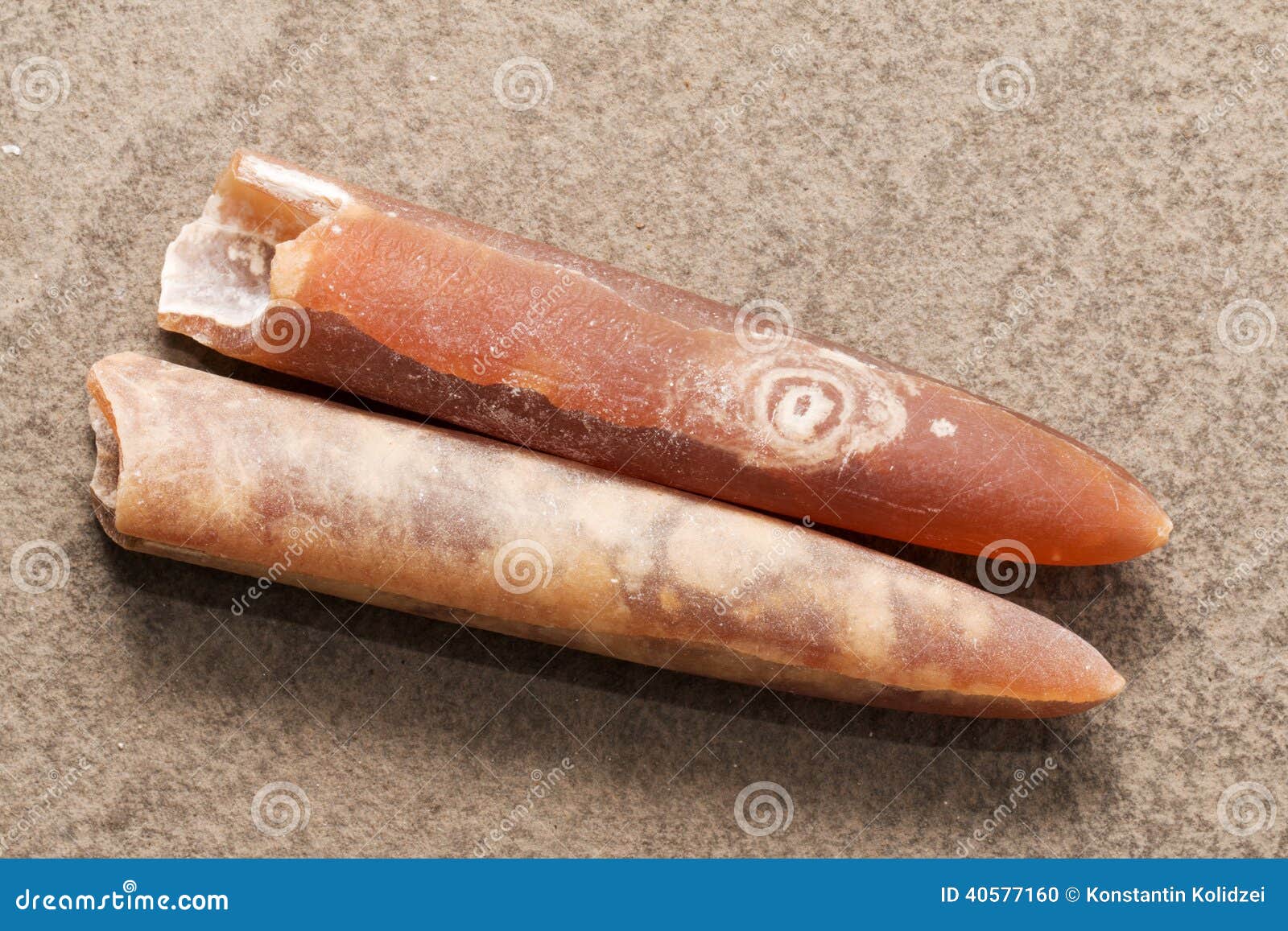 Belemnite. stock photo. Image of belemnoidea, teufelsfinger - 40577160