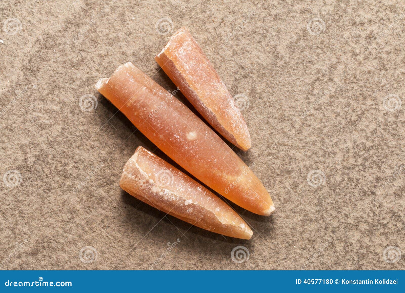 Belemnite. stock photo. Image of biology, chalk, archaeology - 40577180