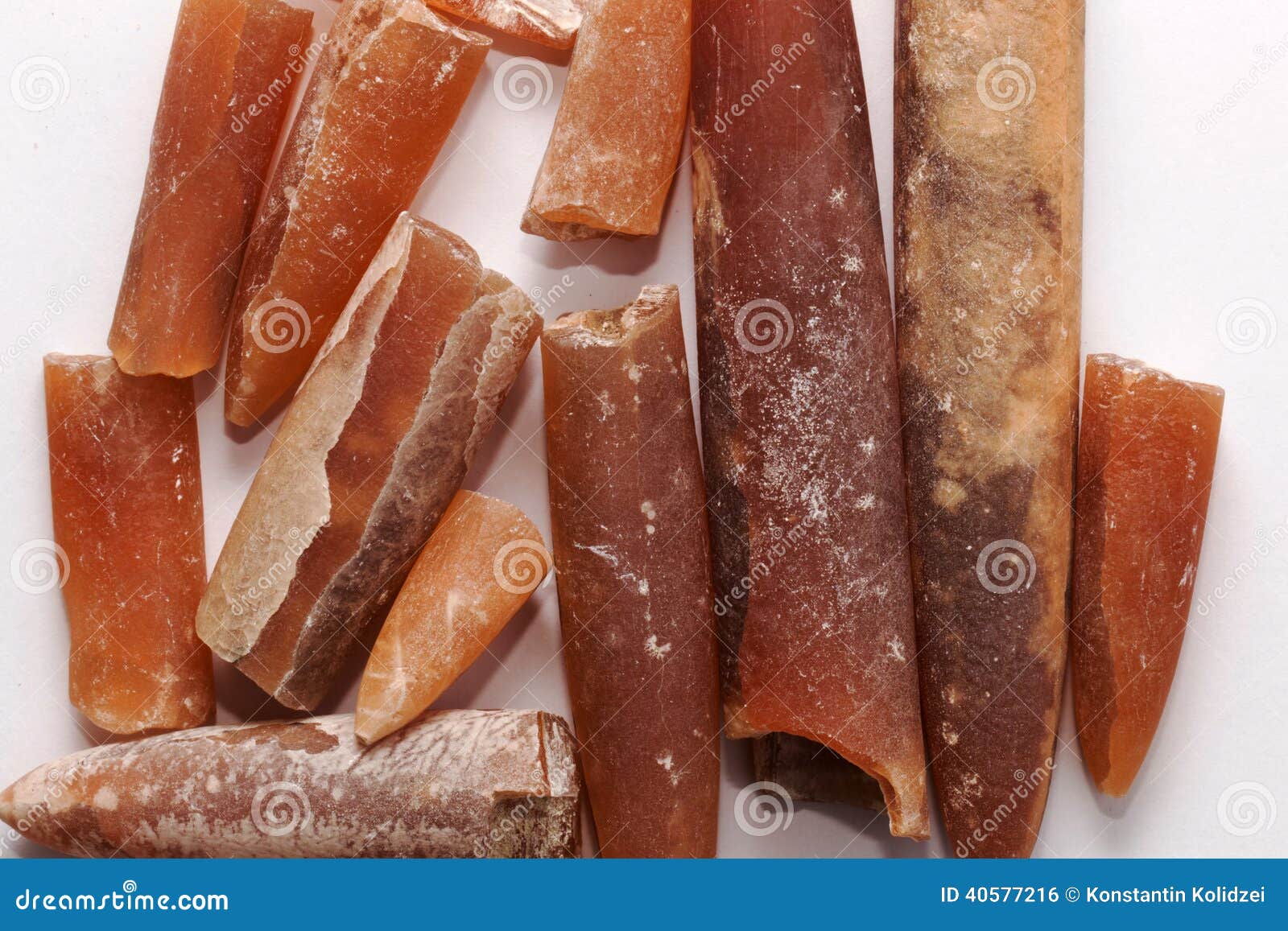 Belemnite. stock photo. Image of nature, hovering, teufelsfinger - 40577216