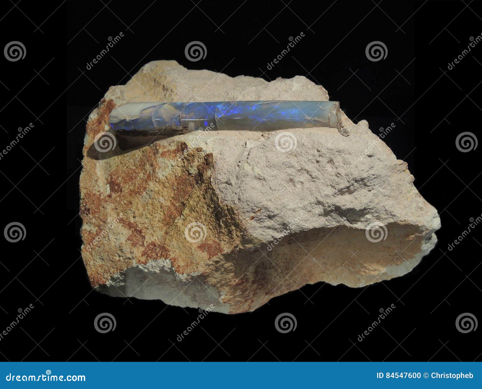 Belemnite fossil opal stock photo. Image of australia - 84547600
