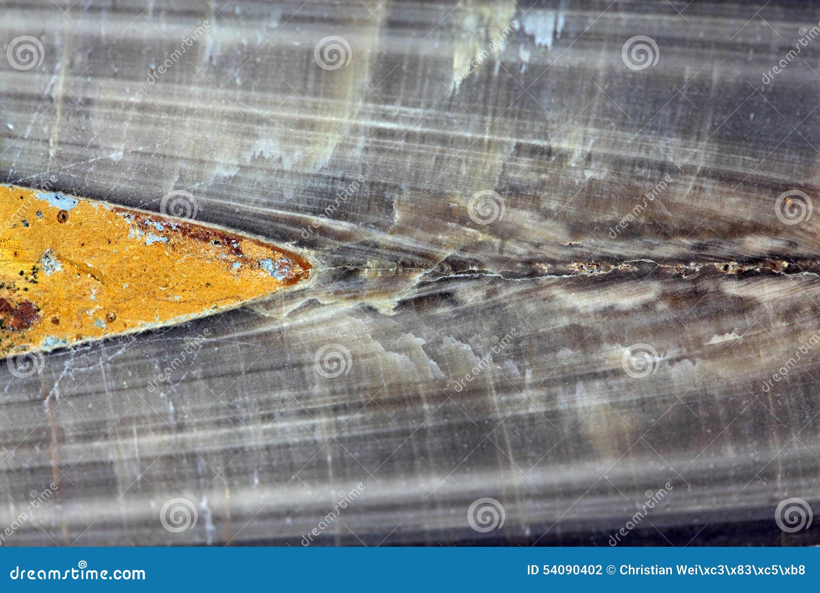 Belemnite stock photo. Image of bone, paleontology, collecting - 54090402