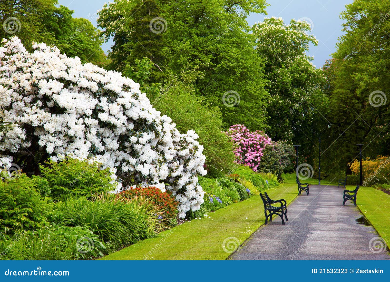 Belfast Botanic Gardens stock image. Image of lane, green - 21632323