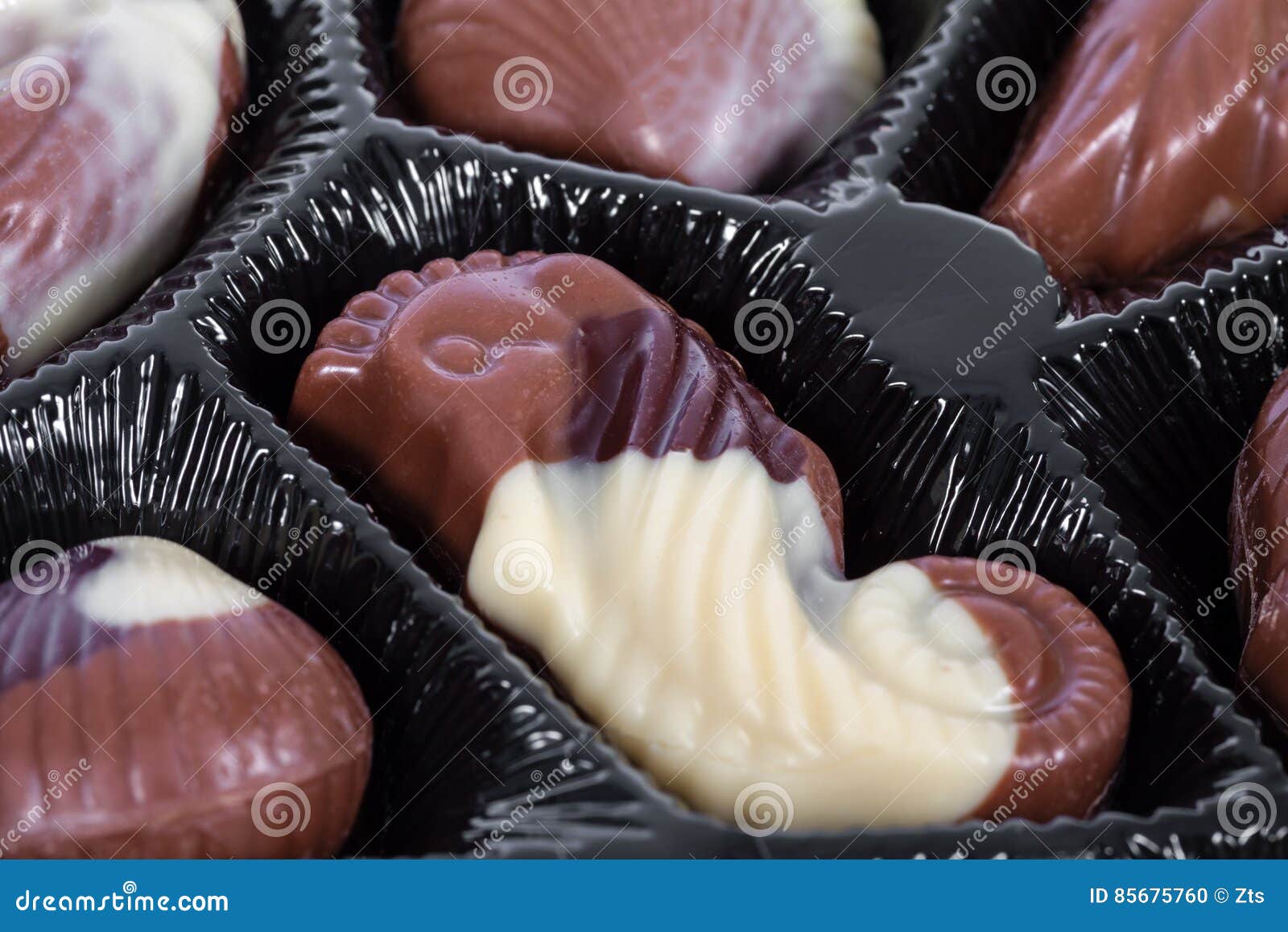 Belgian Bonbons Shaped As Seashells Stock Photo - Image of chocolate ...