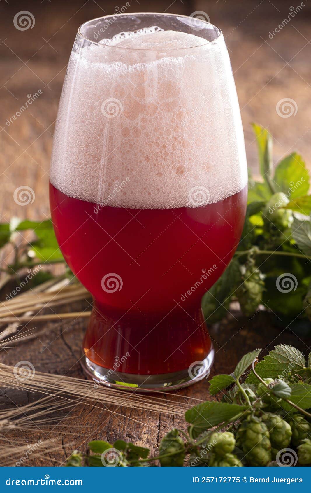 Belgian cherry beer stock image. Image of beer, alcohol - 257172775