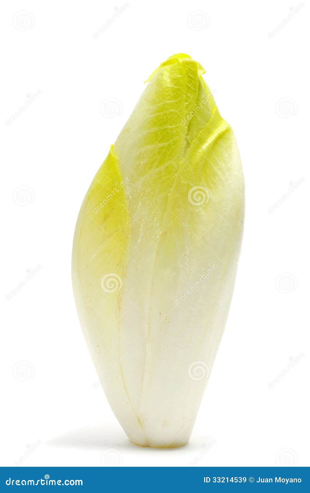 Belgian Endive, Raw Fresh Witloof Chicory Buds, On A Black Background ...