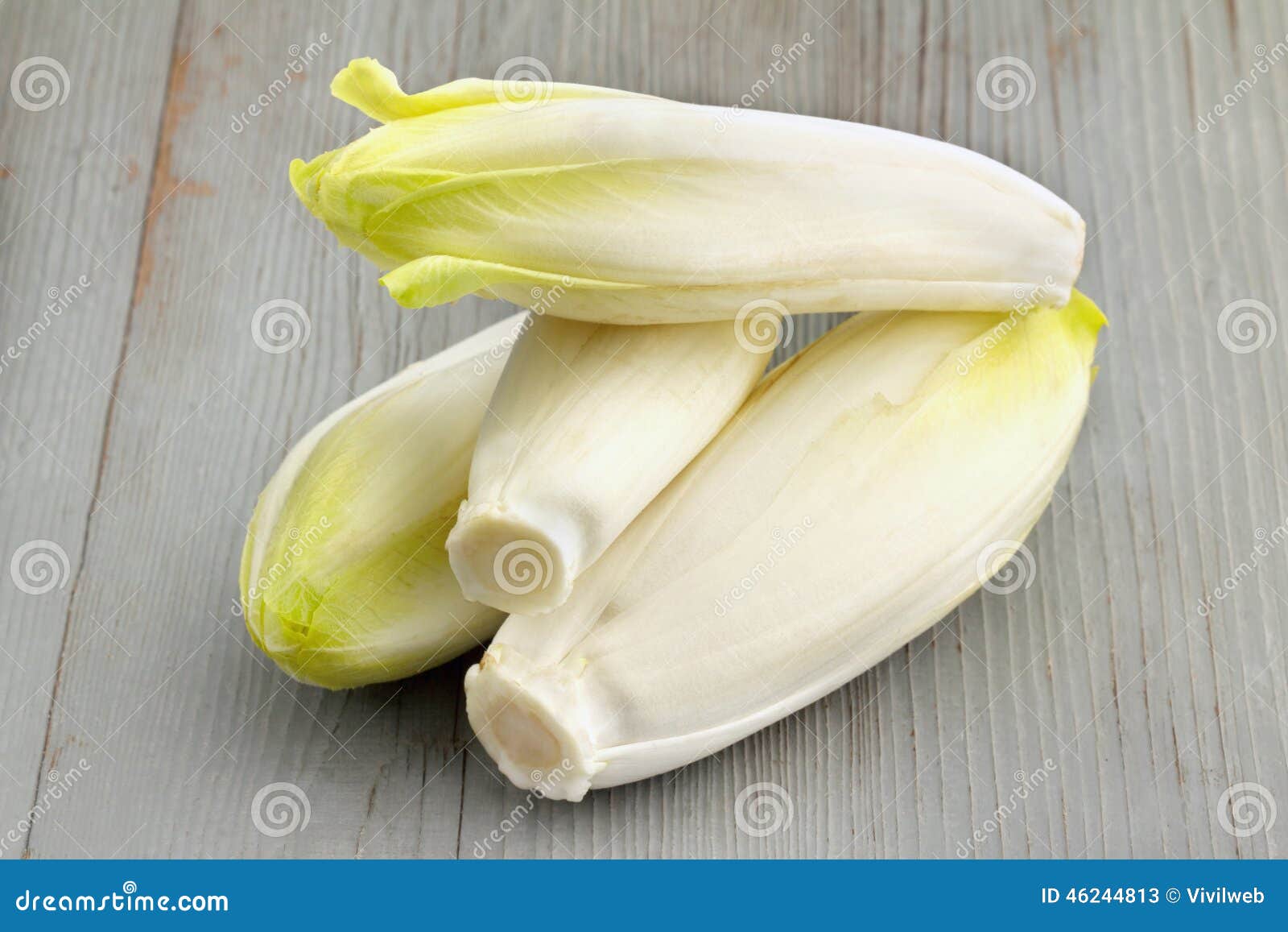 Witloof Belgian Endive/ Chicory Fresh Leaves Stock Photo ...