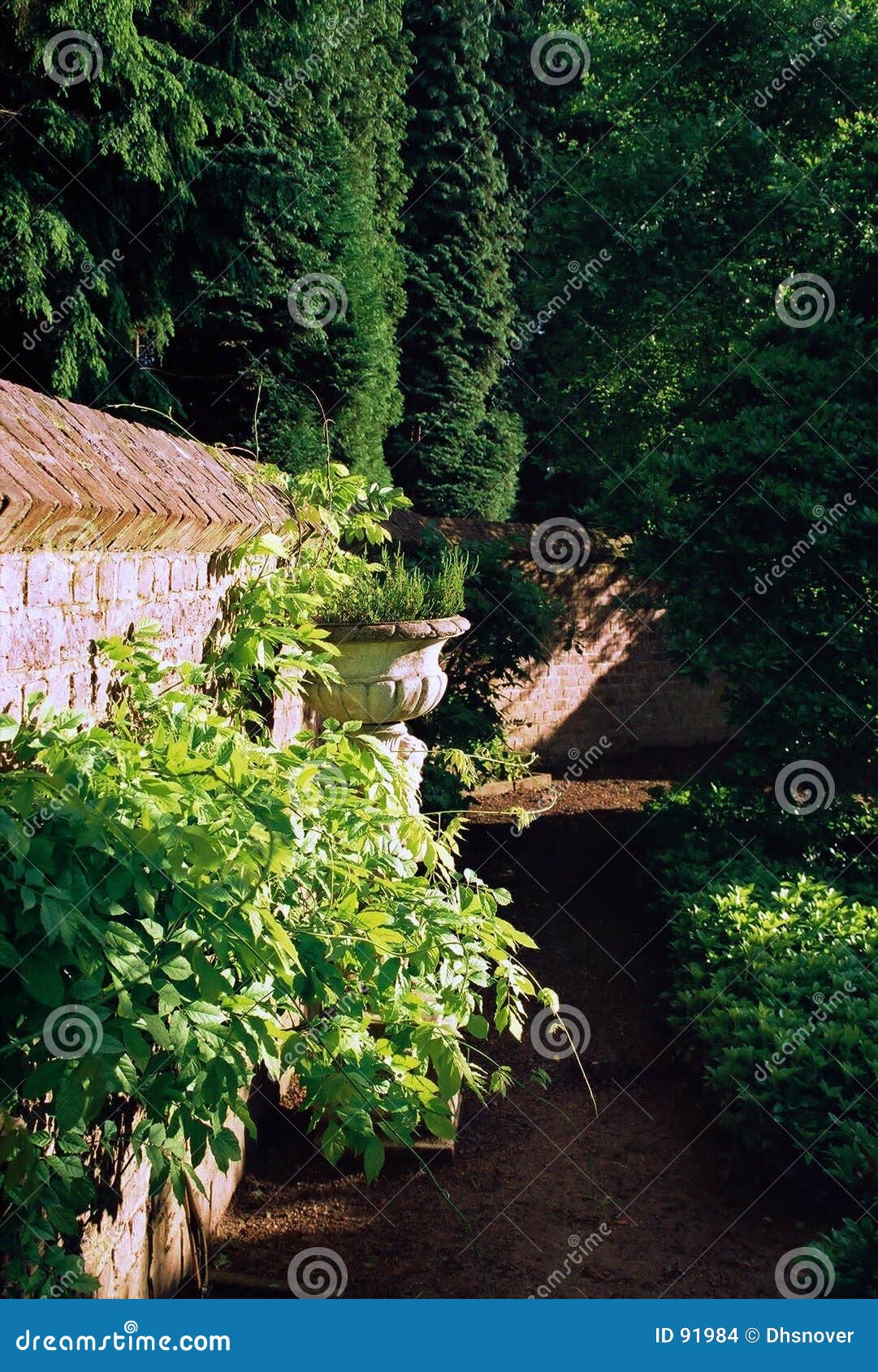 Belgian Garden stock photo. Image of trees, walk, garden - 91984
