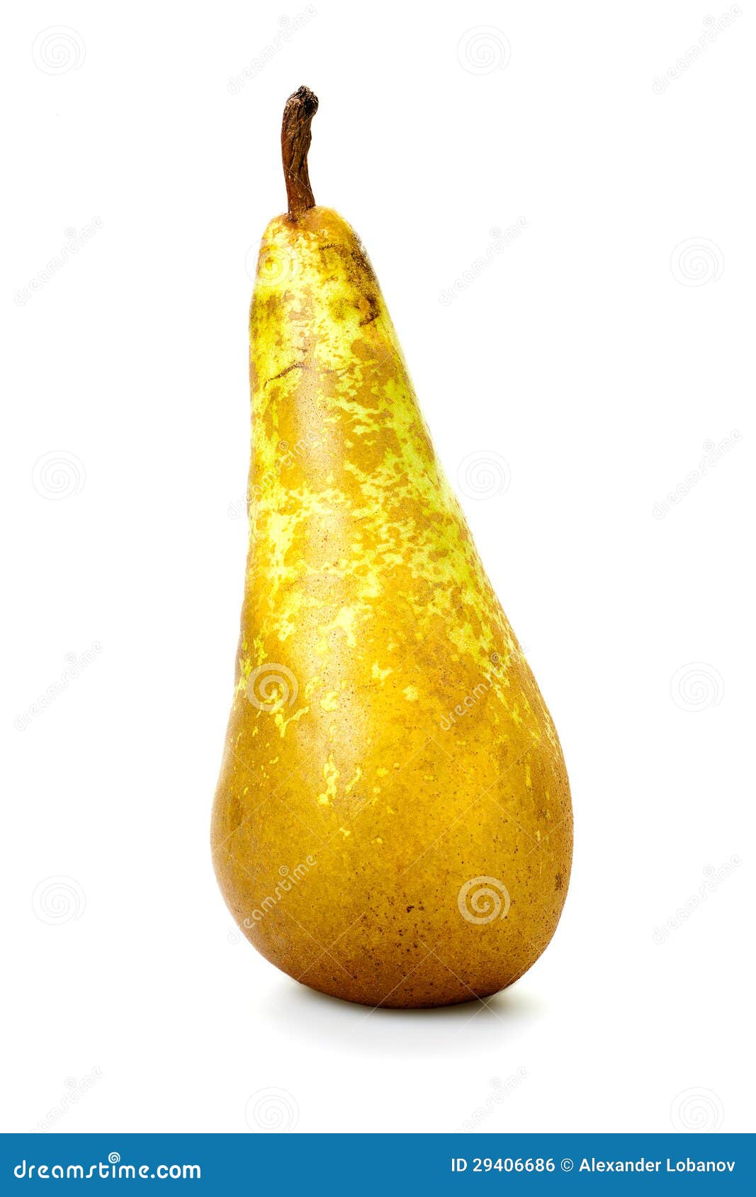 Belgian pear. stock photo. Image of length, studio, stem - 29406686