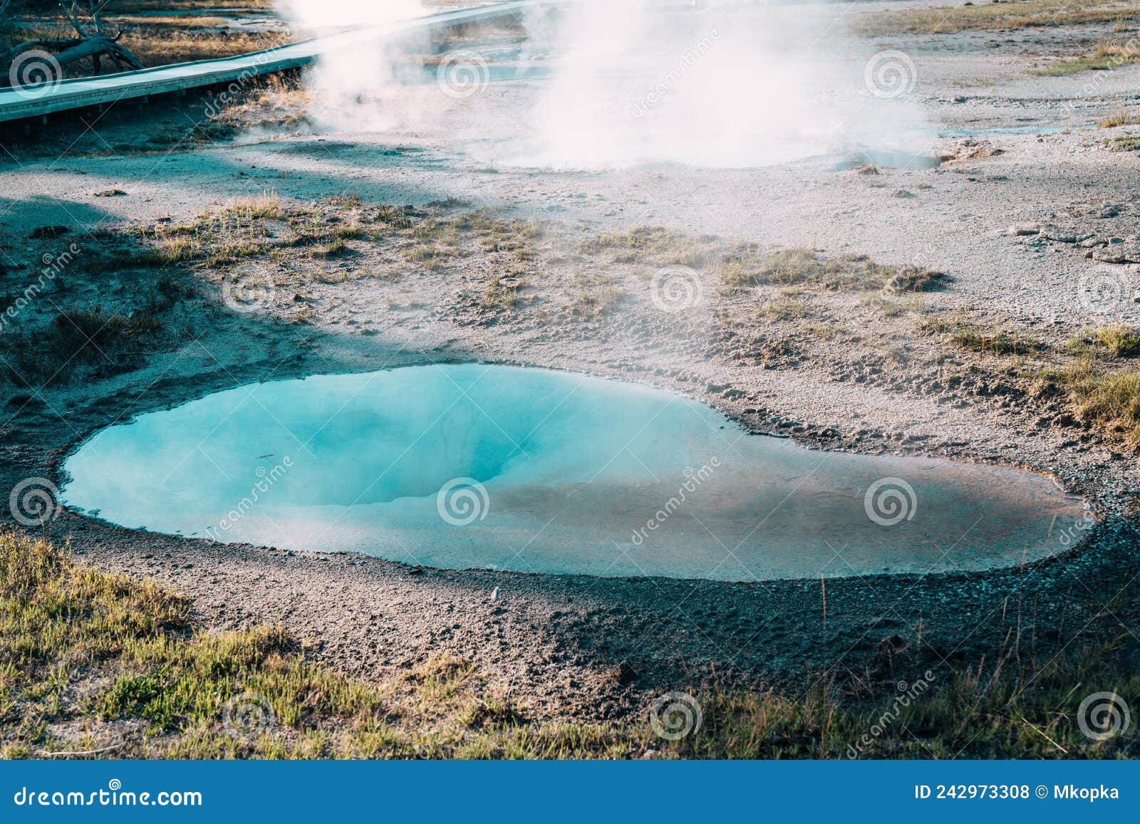 Belgian Pool in Yellowstone National Park, a Hot Spring Stock Photo ...