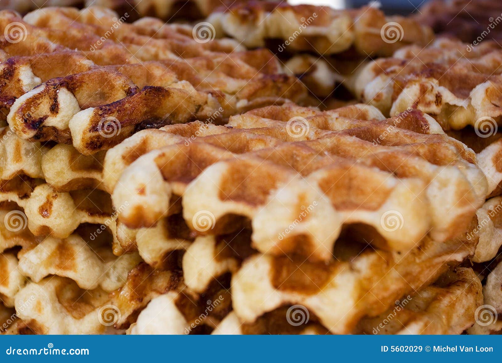 Belgian waffle stock image. Image of sugared, crisp, sugar - 5602029