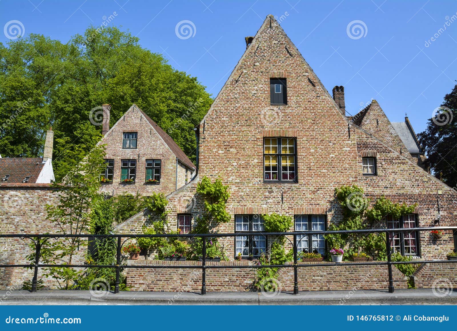 Belgium old tile houses stock photo. Image of tree, tile - 146765812