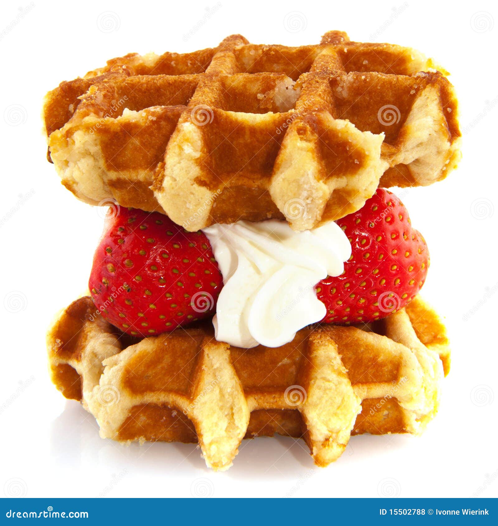 Belgium waffle stock photo. Image of studio, belgium - 15502788