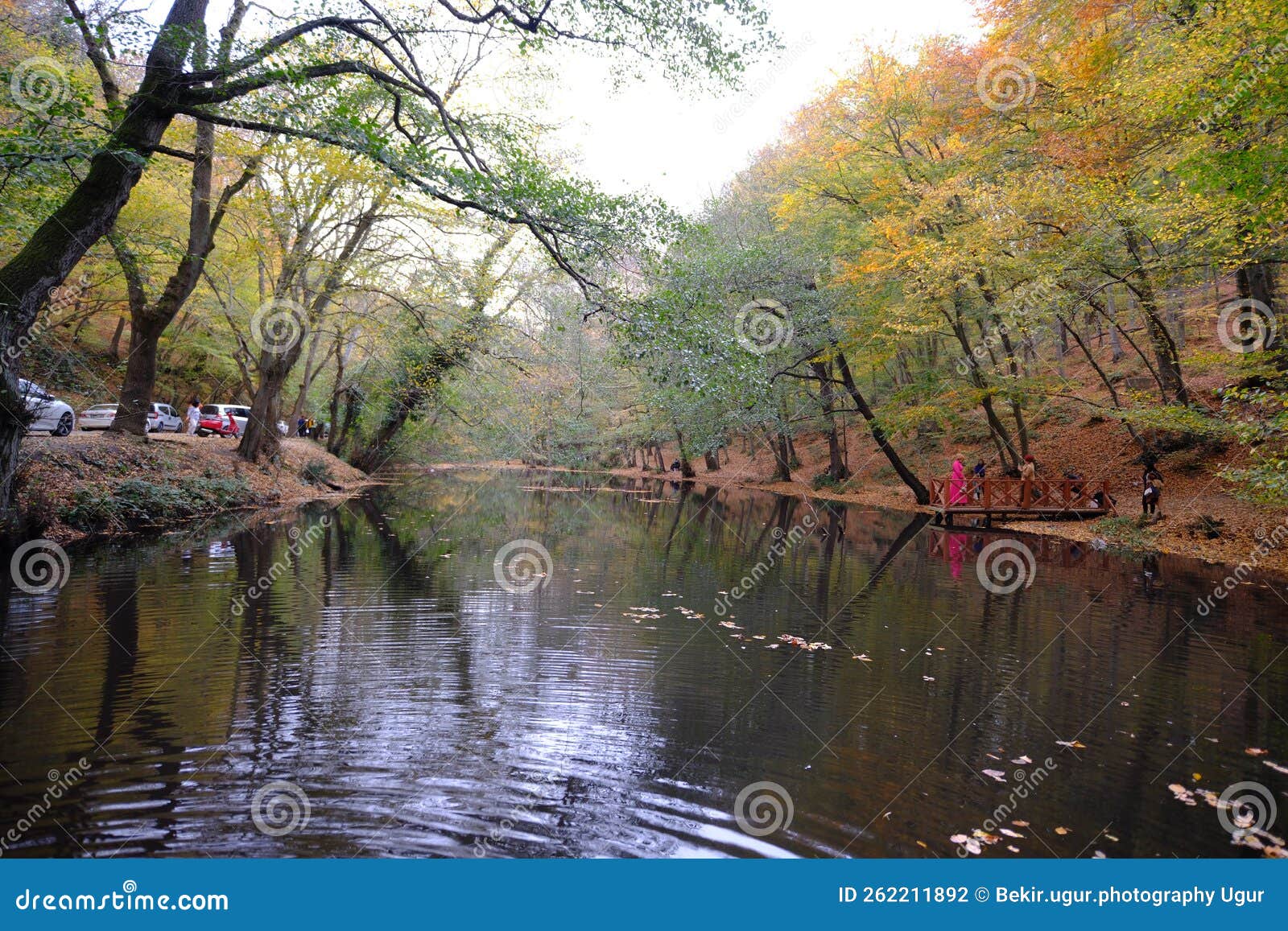 Belgrad Forest, Ä°stanbul Turkey Editorial Photography - Image of ...