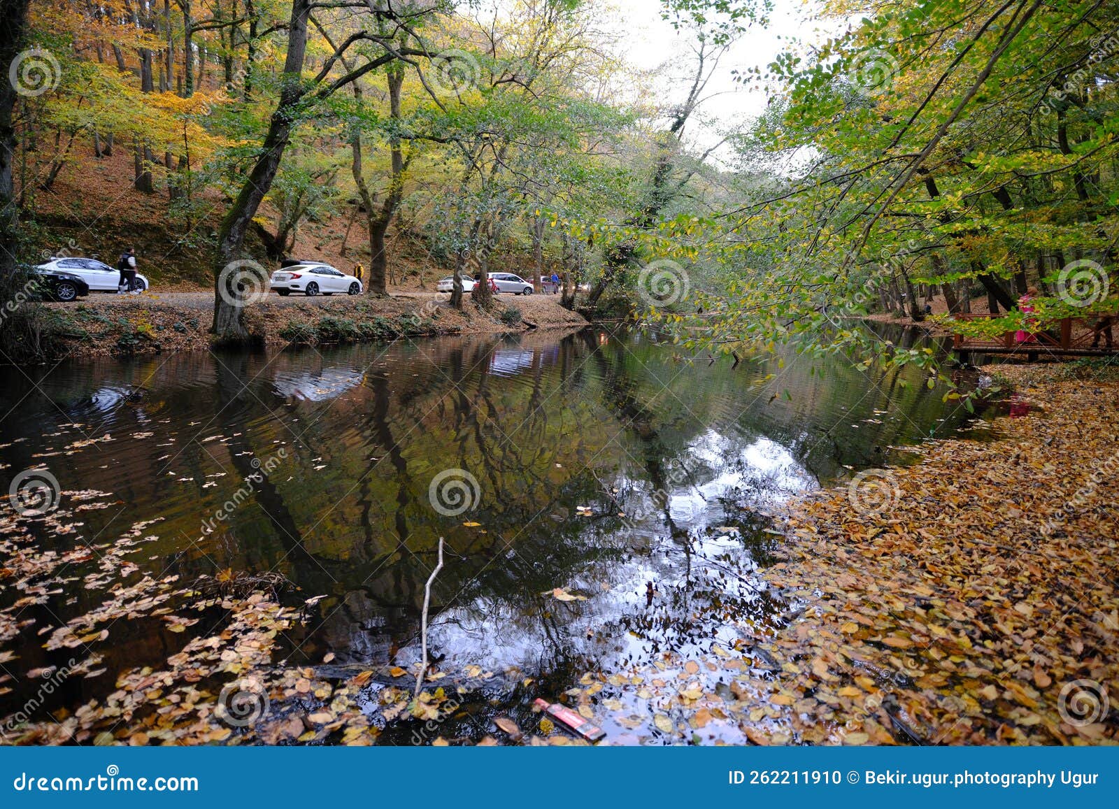 Belgrad Forest, Ä°stanbul Turkey Editorial Image - Image of road ...