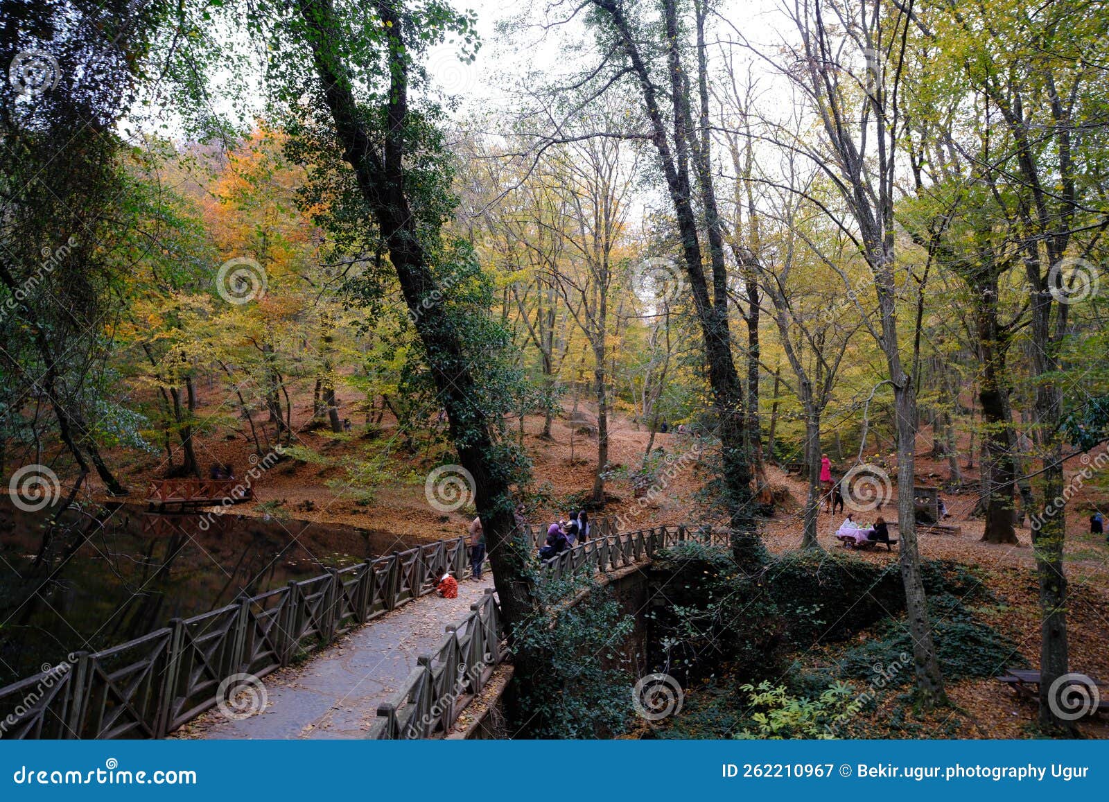 Belgrad Forest, Ä°stanbul Turkey Editorial Photography - Image of ...