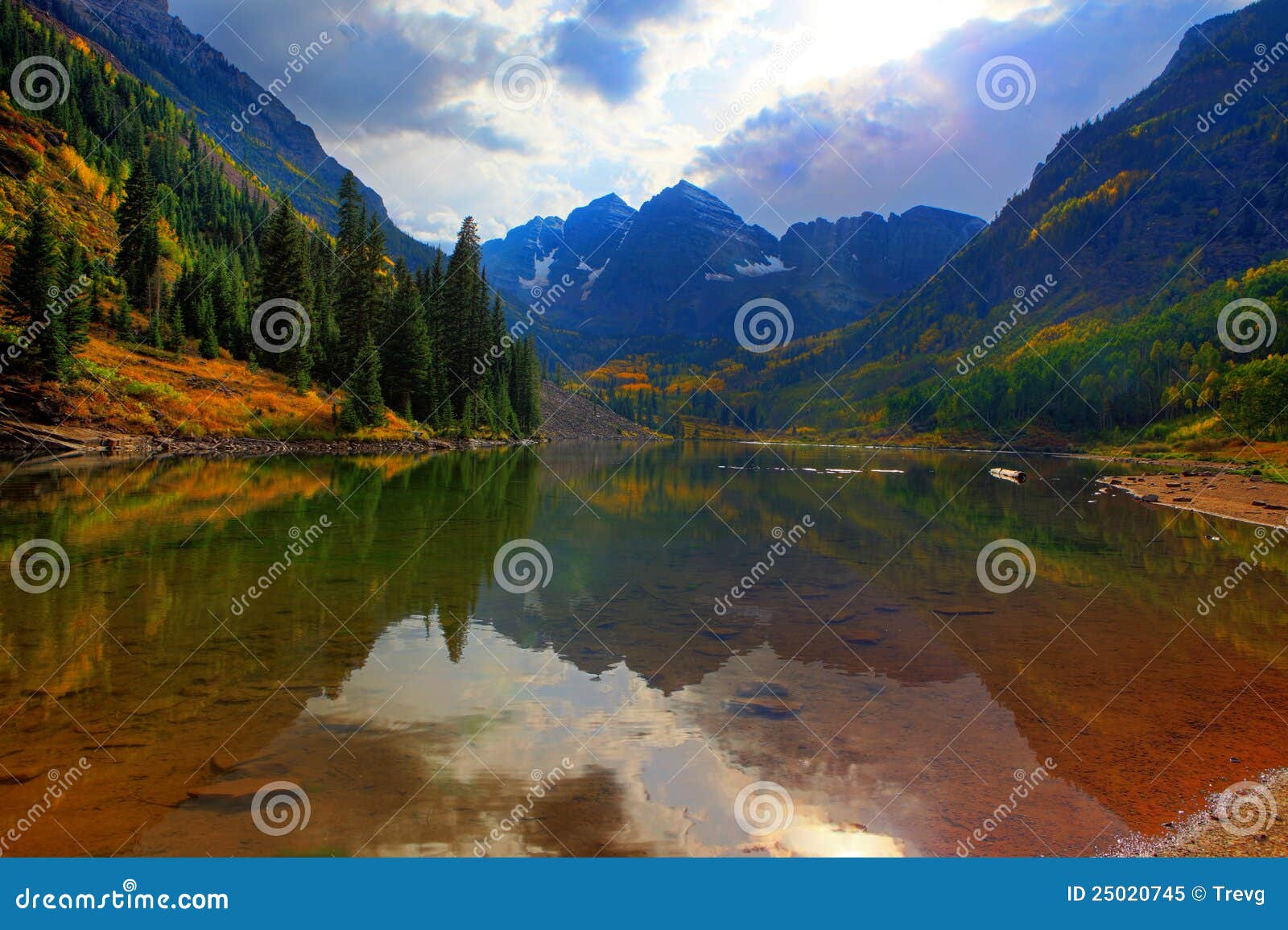 Belhi marrone rossiccio immagine stock. Immagine di bello - 25020745