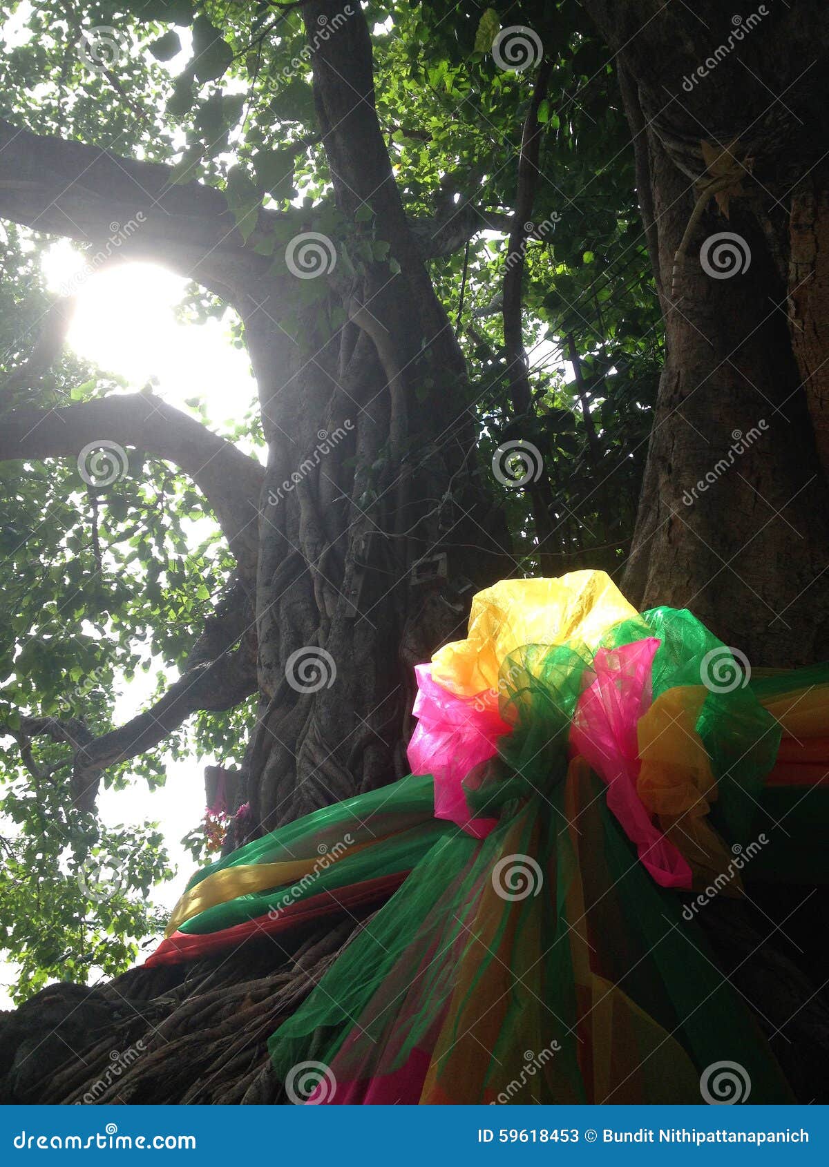 Believe and faithful stock image. Image of buddha, believe - 59618453