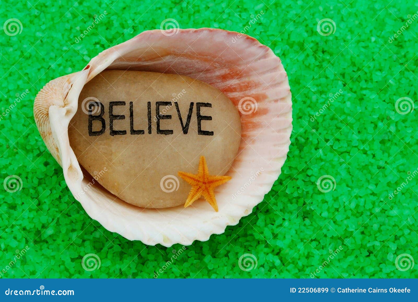 Believe Stone in Seashell stock image. Image of green - 22506899