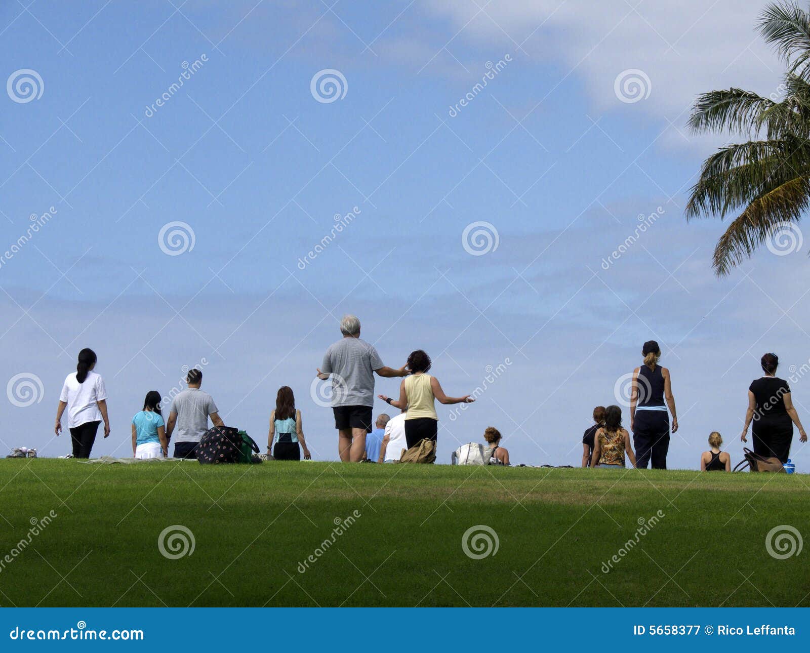 Which Refute Stock Photos - Free & Royalty-Free Stock Photos from ...