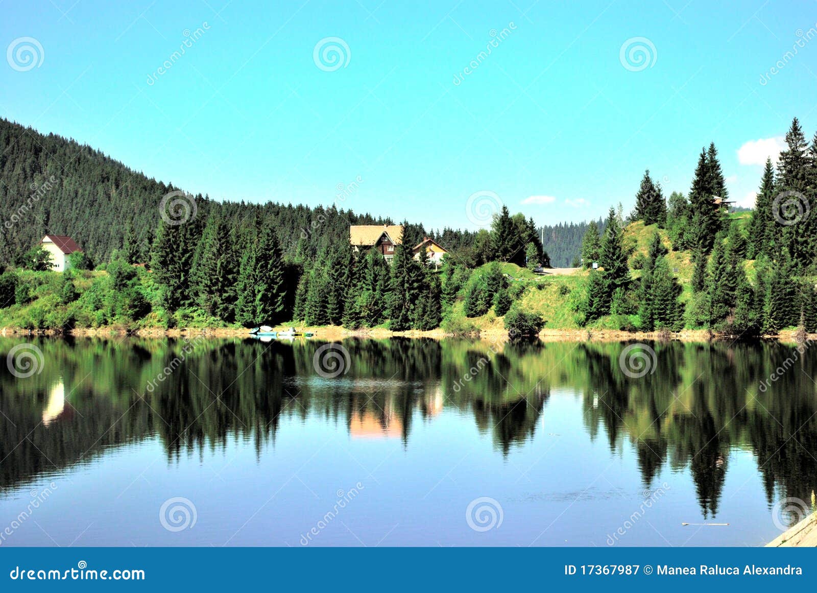 Belis Lake Romania stock image. Image of forest, trees - 17367987