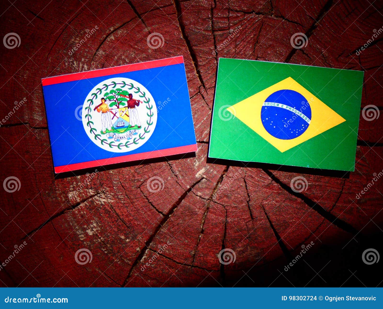Belize Flag with Brazilian Flag on a Tree Stump Isolated Stock Photo ...