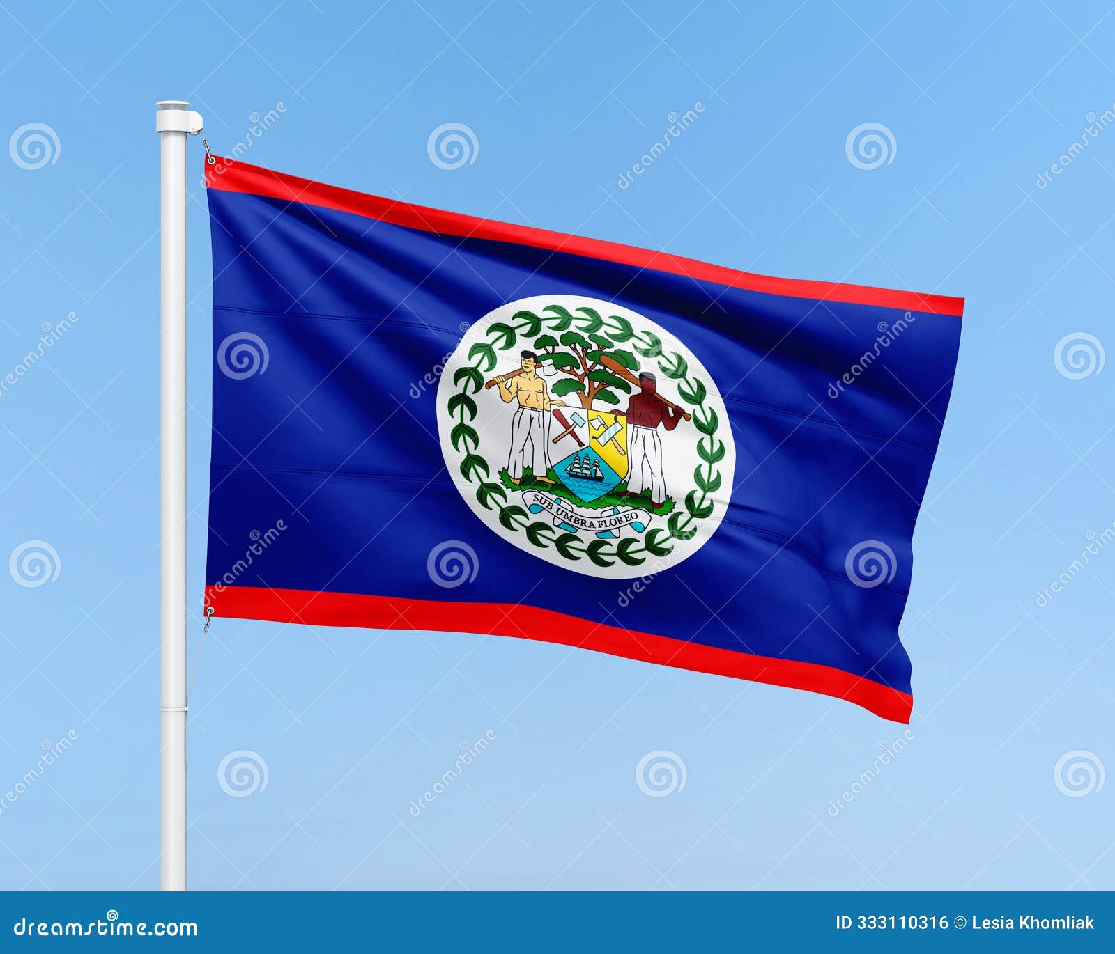Belize Flag on Stick on Sky Background Stock Photo - Image of signage ...