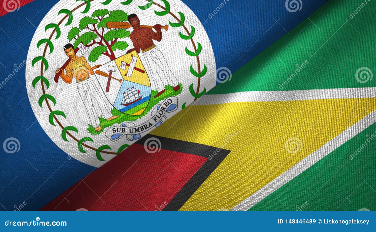 Belize and Guyana Two Flags Textile Cloth, Fabric Texture Stock ...
