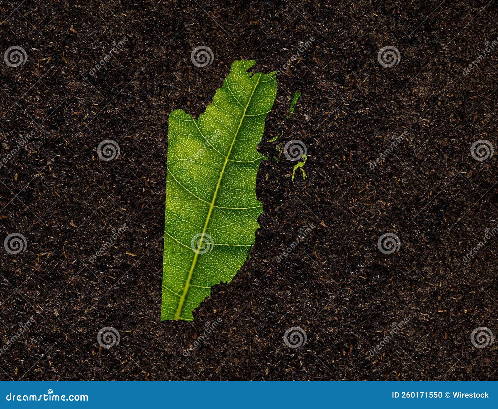 Belize Map Made of Green Leaves, Concept Ecology Map Green Leaf on Soil ...