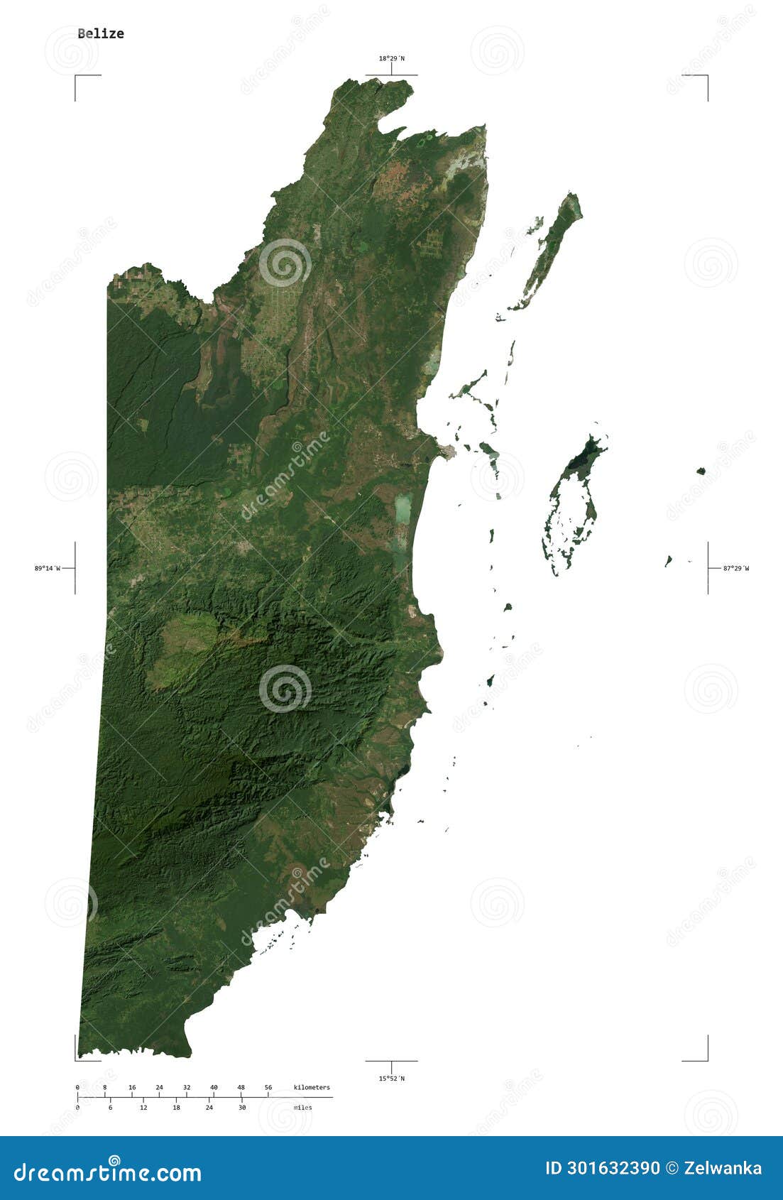 Belize Shape on White. Low-res Satellite Stock Illustration ...