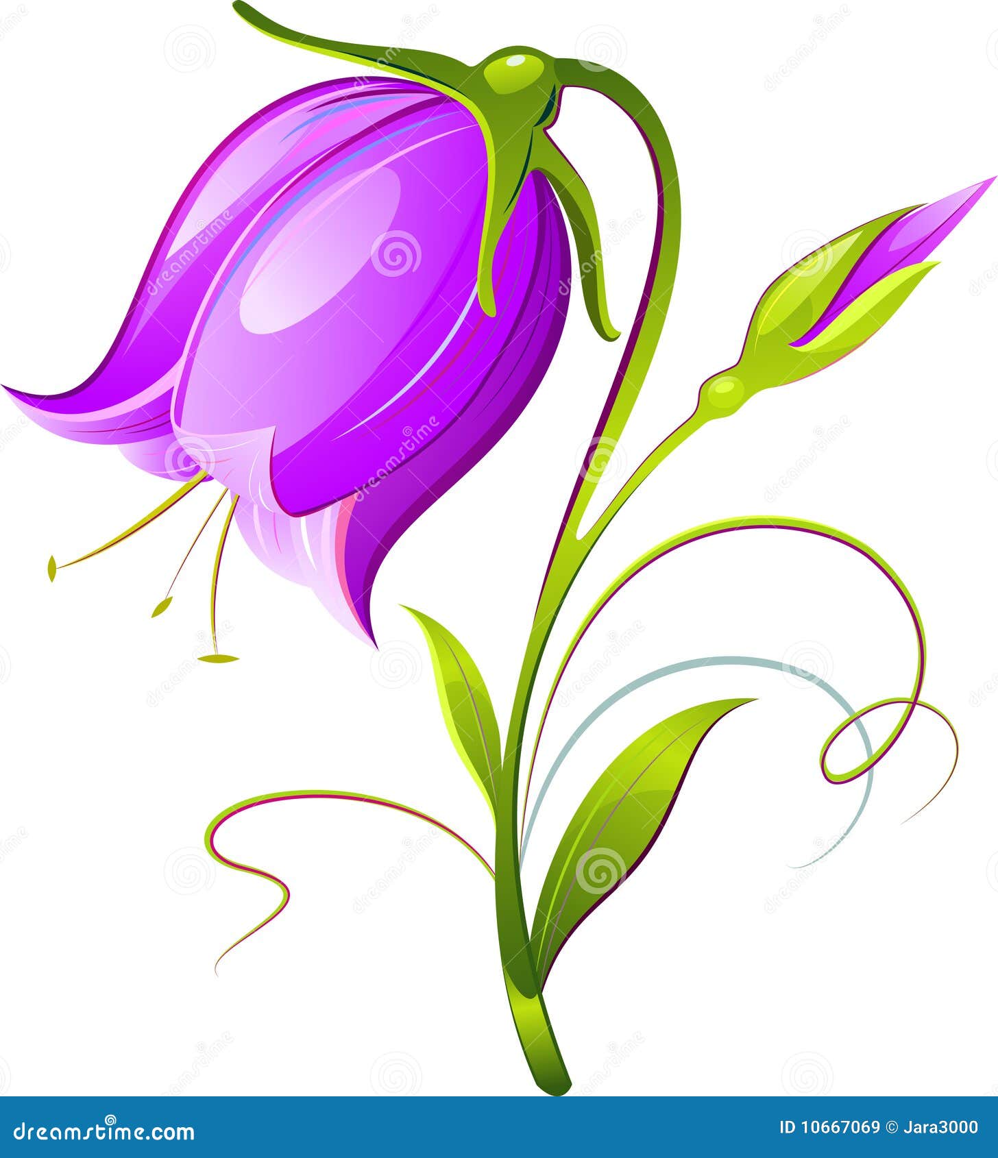 Bell-flower stock vector. Illustration of single, painting - 10667069
