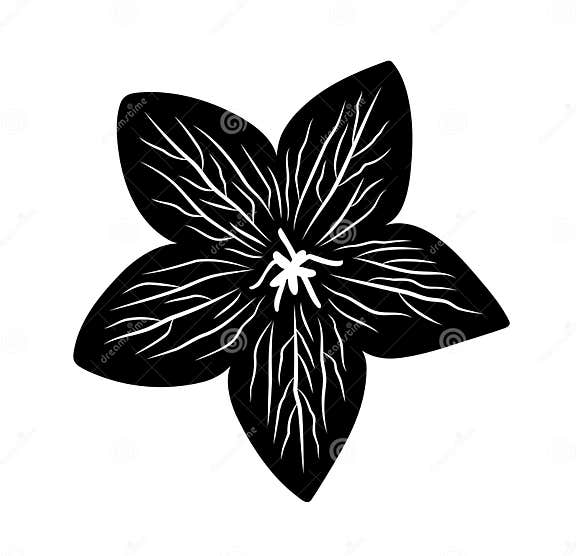Bell flower stock vector. Illustration of campanula - 269886153