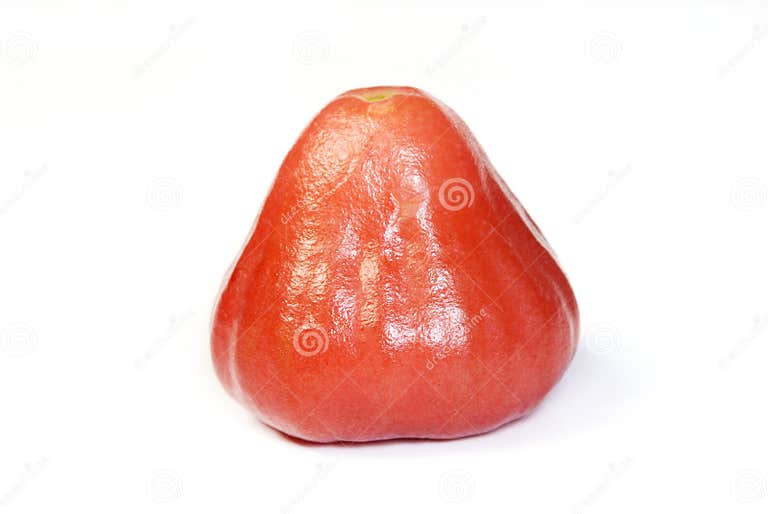 Bell fruit stock photo. Image of water, isolated, white - 18030166