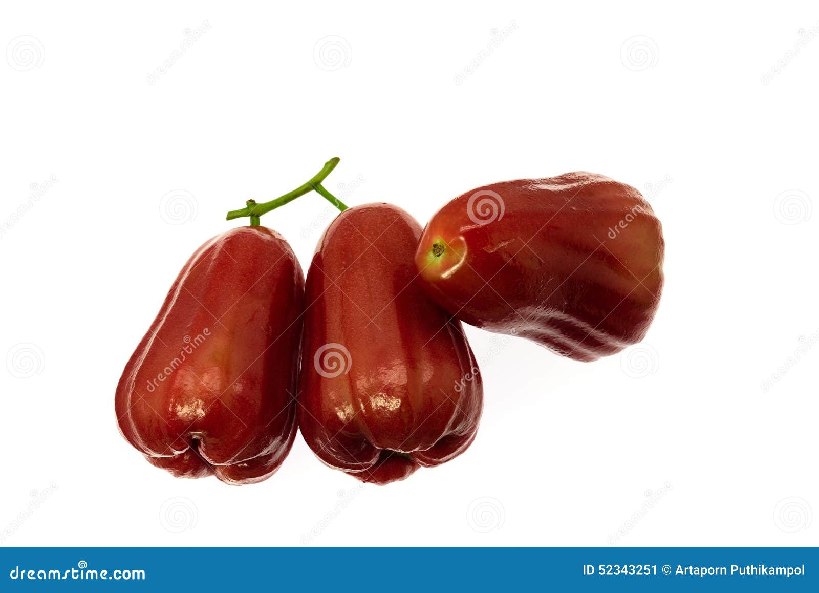 Bell fruit or rose apple stock image. Image of sweet - 52343251
