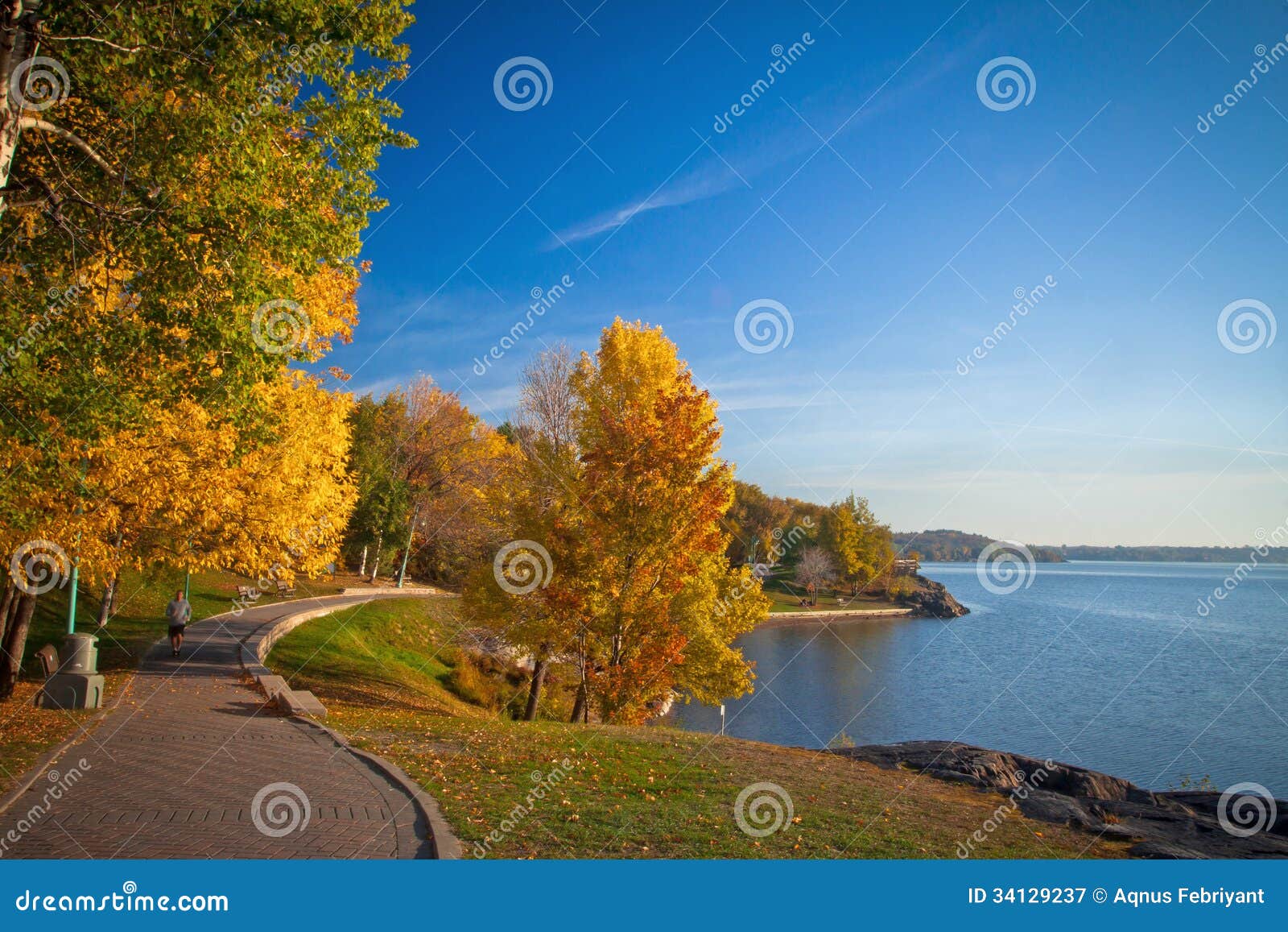 Bell Park stock image. Image of canada, tree, ontario - 34129237