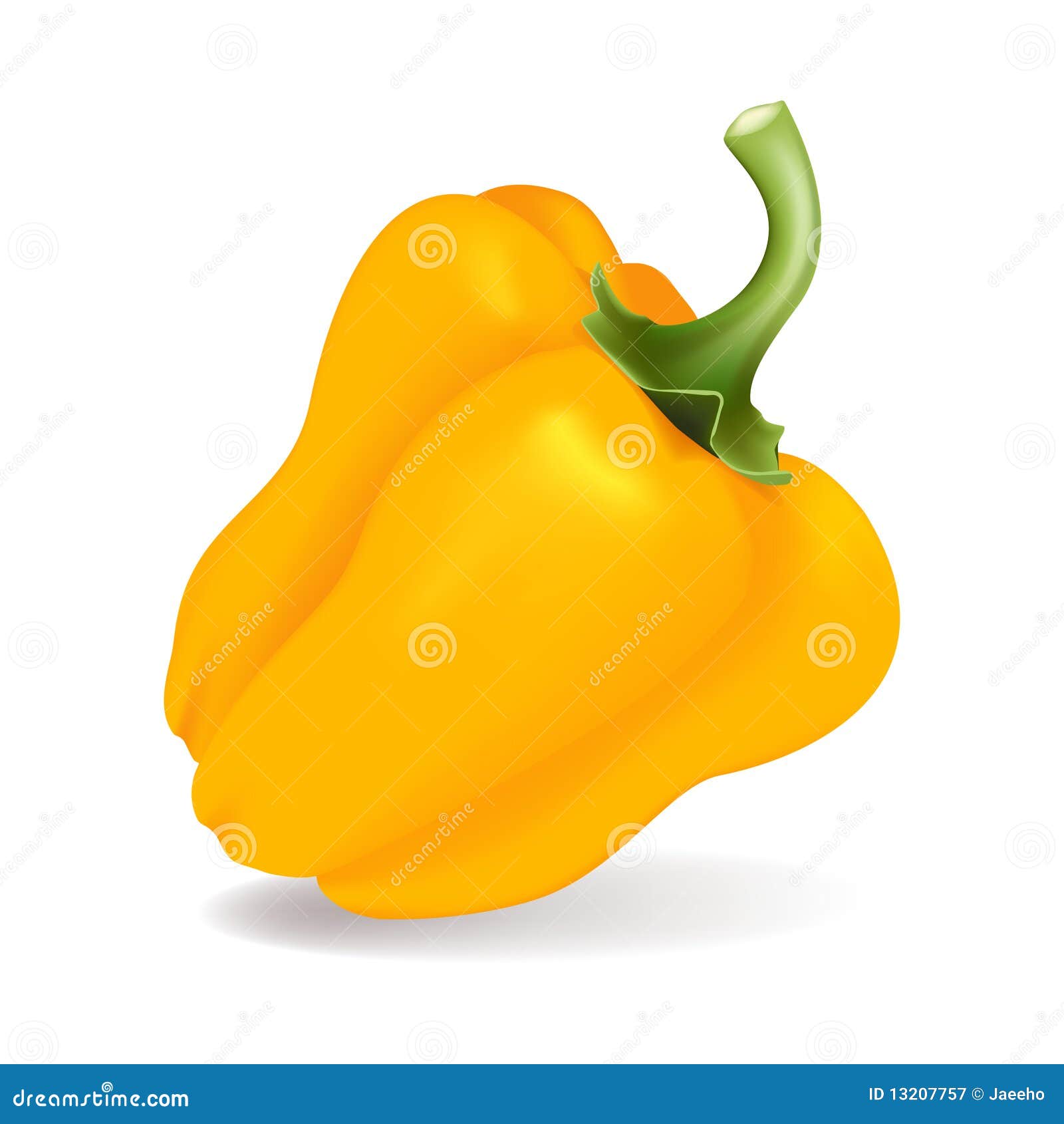 Bell Pepper Isolated Illustration | CartoonDealer.com #154246956