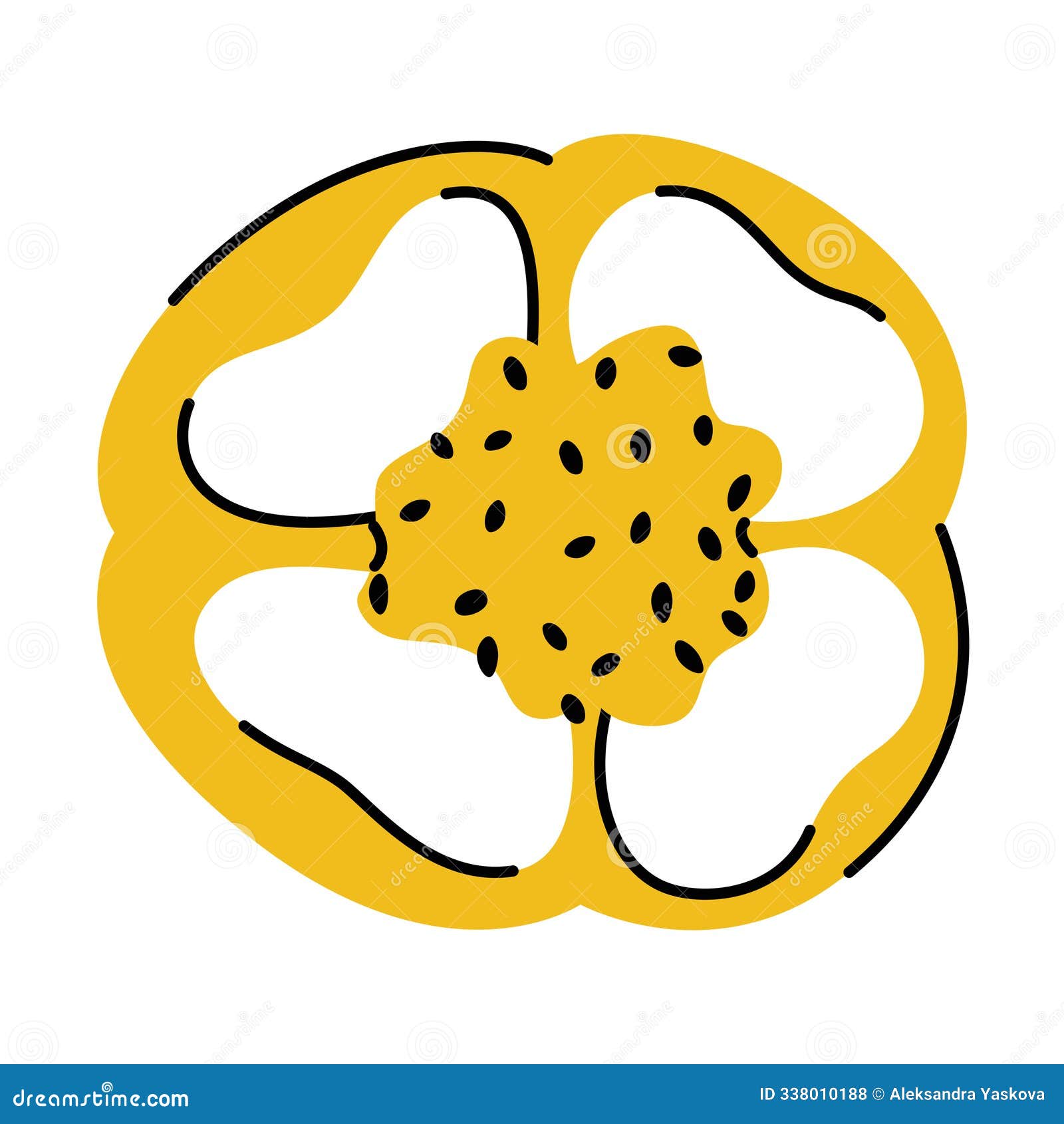 Bell Pepper Cross Section with Visible Seeds in a Simple Hand Drawn ...