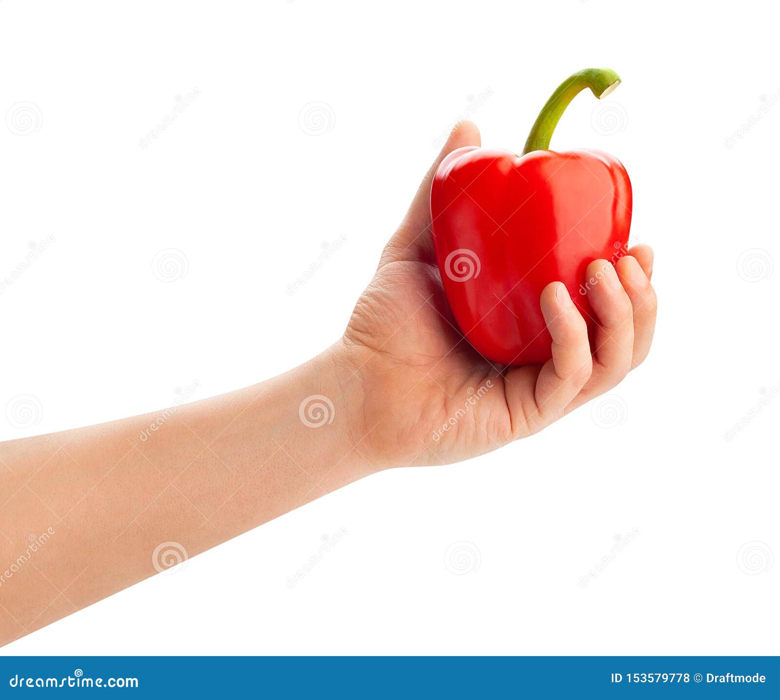 Bell pepper in hand stock photo. Image of path, studio - 153579778