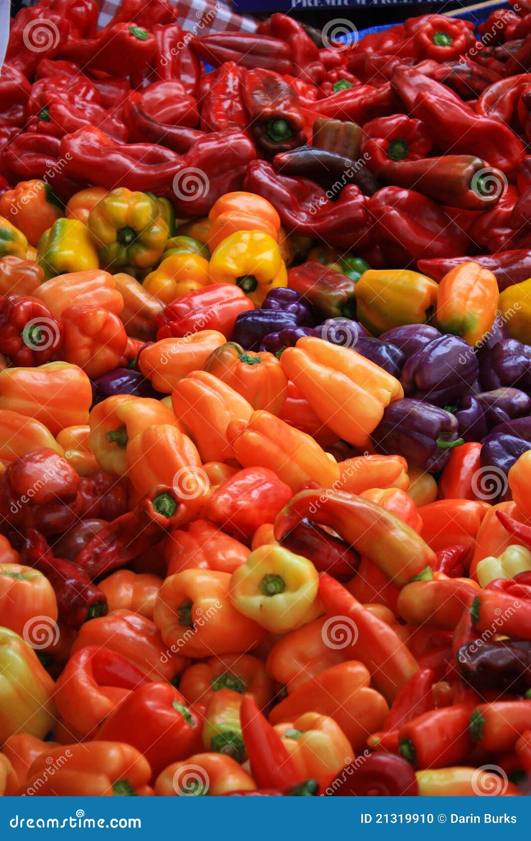 Bell peppers stock photo. Image of stem, organic, simple - 21319910