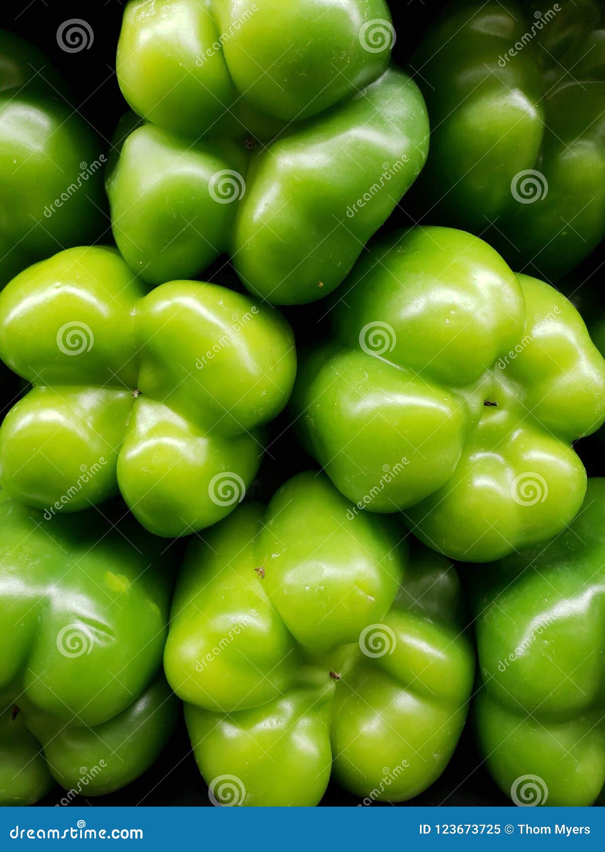 Bell peppers close up stock image. Image of peppers - 123673725