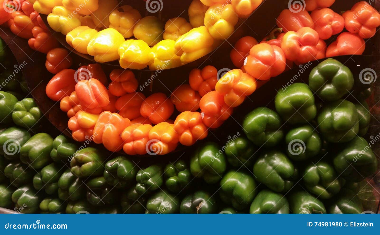 Bell Peppers stock photo. Image of bellpeppers, ingredients - 74981980